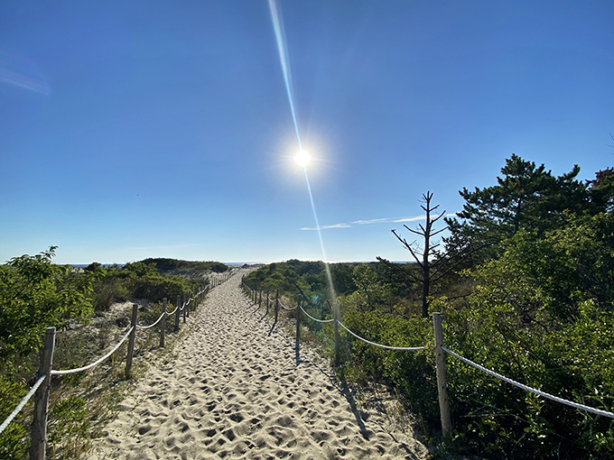 The path to paradise isn't paved&mdash;it's sandy. This sun-drenched trail through the dunes promises adventure with every footprint.