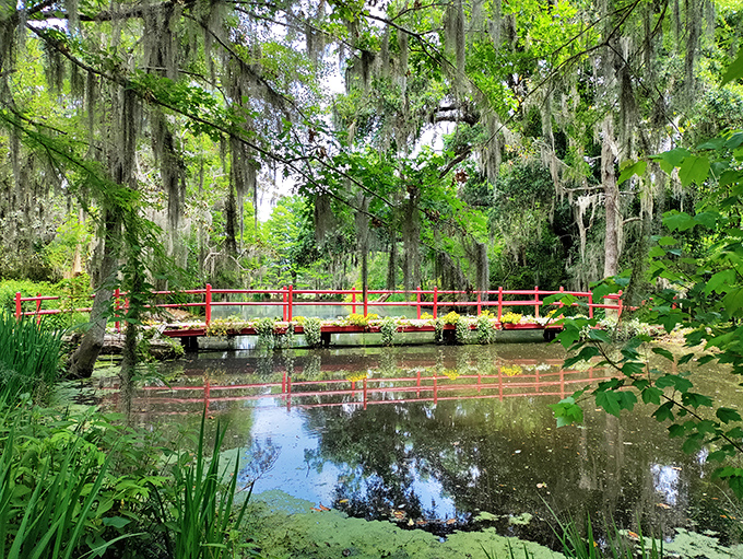 The iconic red bridge creates a perfect harmony with Spanish moss-draped trees, like nature's own Instagram filter designed specifically for "wow" moments.