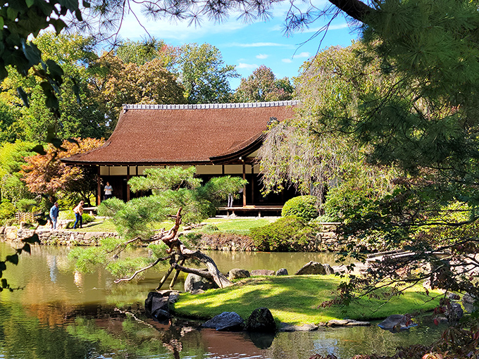 The quintessential Japanese house sits like a meditation master by the pond, its curved roof seemingly nodding in approval at your decision to visit.