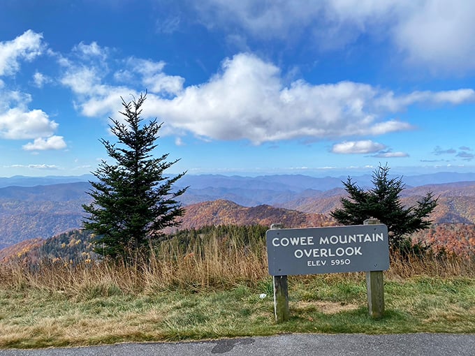 Nature's own IMAX theater unfolds at Cowee Mountain Overlook, where layers of blue ridges stretch to infinity under a perfect Carolina sky.