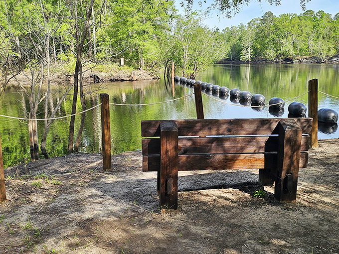 Nature's perfect mirror reflecting Florida's true soul&mdash;a spring so pristine you'd think someone Photoshopped reality. Breathtaking doesn't begin to cover it.
