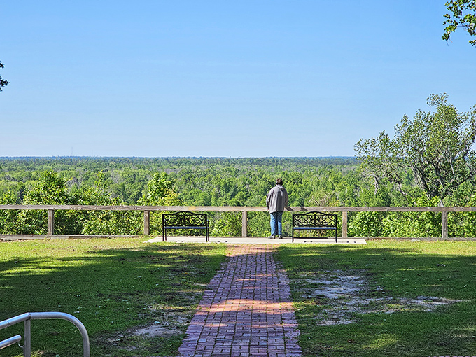 The view that makes you question if your GPS is broken. Florida's not supposed to have landscapes like this, yet here we are!