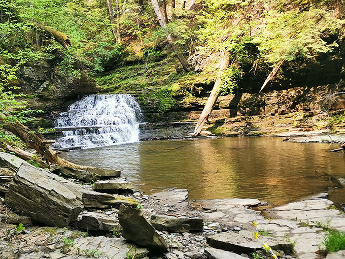 Nature's tiered masterpiece cascades over ancient rock formations, creating a swimming hole that makes you wonder why you ever bothered with chlorinated pools.