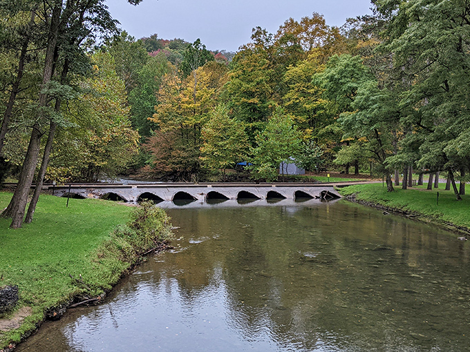 Kettle Creek winds through Ole Bull like nature's own masterpiece, painting the forest in autumn hues that would make Bob Ross reach for his palette.