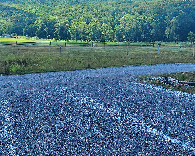 The parking area welcomes you with that "we're not trying too hard" charm that makes great places even better.
