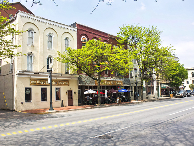 The historic Bloomsburg Town Hall stands like a limestone sentinel, watching over generations of small-town stories with dignified grace.