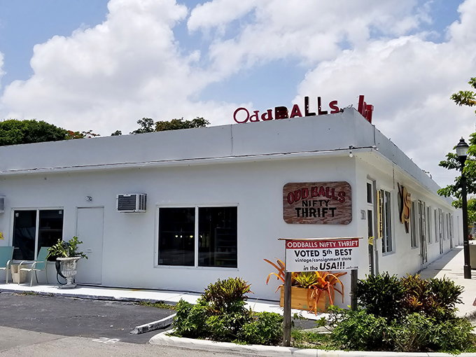 The unassuming exterior of OddBalls Nifty Thrift belies the wonderland of treasures inside. Like finding a speakeasy of secondhand delights, this Florida gem promises adventure for bargain hunters. 