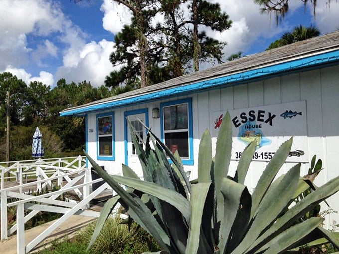 The unassuming exterior of Essex Seafood House stands like a culinary lighthouse in Pierson's fern country, promising seafood treasures within its humble walls.