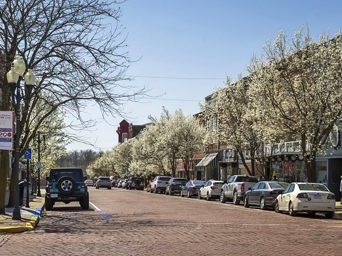 Brick streets lined with flowering trees transform downtown Fulton into a picturesque postcard every spring, nature's way of celebrating small-town charm.