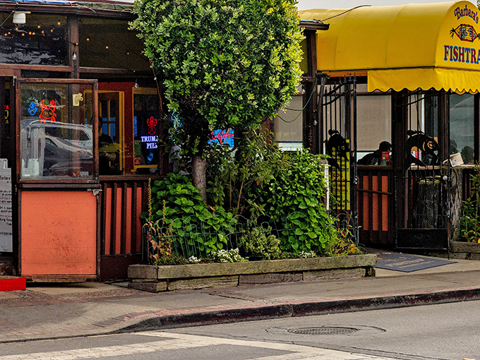 The bright yellow awning of Barbara's Fishtrap beckons like a lighthouse for hungry souls wandering the Half Moon Bay coastline.