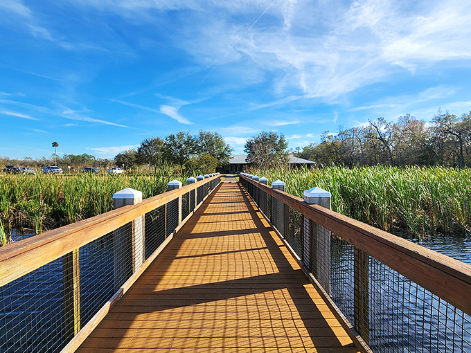 Nature's infinity pool! Mac Lake's serene waters mirror Florida's impossibly blue skies, creating a double dose of tranquility that no spa treatment could match.