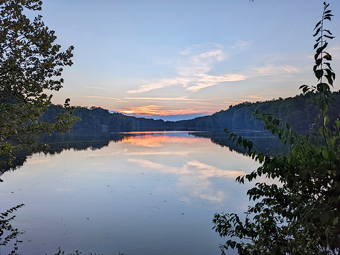 Nature's own light show! Fall foliage at Stonelick transforms ordinary trees into extraordinary masterpieces, with that curved tree adding a touch of whimsy to the woodland ballet.