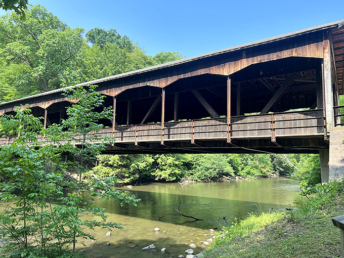 The historic covered bridge at Mohican isn't just a crossing &ndash; it's a time machine disguised as architecture, offering perfect photo ops year-round.