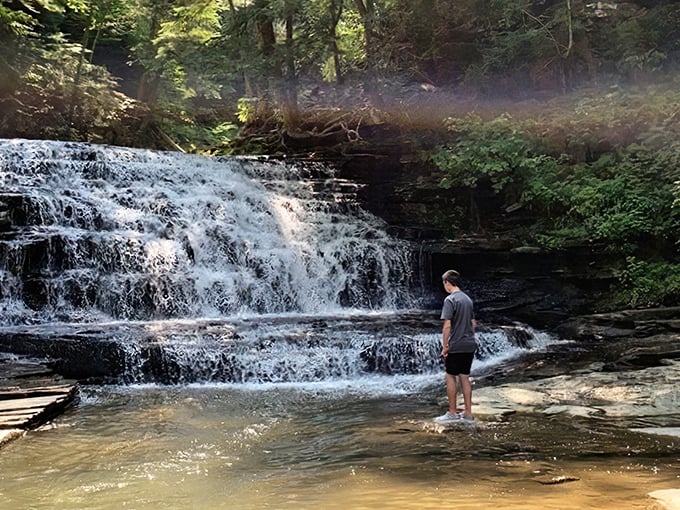 Nature's own tiered wedding cake! The cascading falls of Salt Springs create a mesmerizing step pattern that hypnotizes visitors into a state of pure tranquility.
