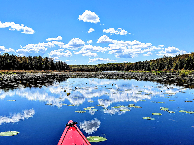 Nature's perfect balancing act: tranquil waters mirror the sky while towering trees stand guard. This lakeside spot practically begs you to unplug and breathe.