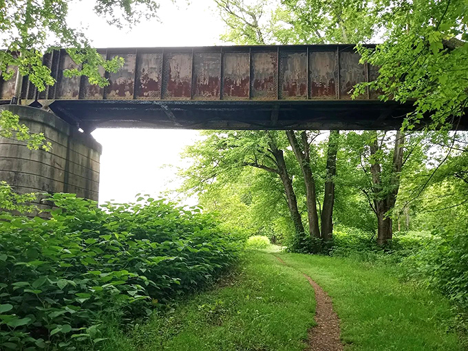 The old iron bridge marks your entrance to Milton State Park's island sanctuary, where nature reclaims industrial history with quiet persistence.