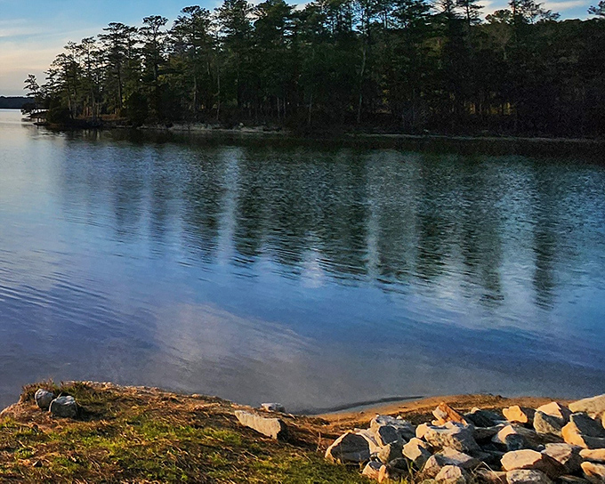 The stillness of Strom Thurmond Lake at dusk creates nature's perfect mirror, reflecting towering pines in waters that whisper stories of peaceful solitude.