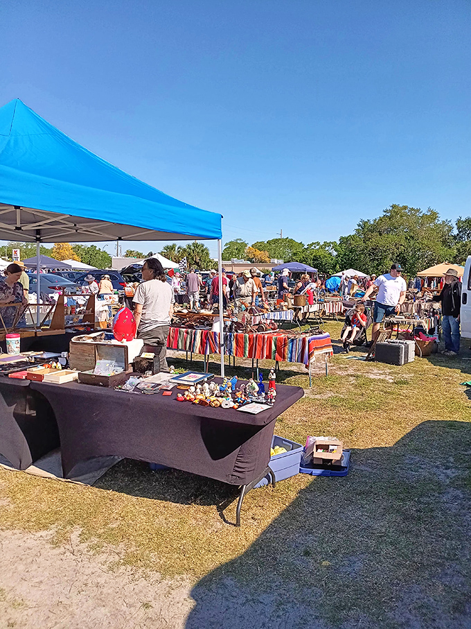 Under Florida's brilliant blue sky, treasure hunters navigate a sea of colorful tents, each one a potential goldmine of undiscovered gems and forgotten treasures.