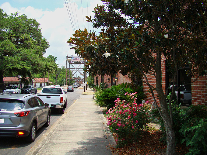Breaux Bridge's tree-lined streets offer more than shade – they frame a community where your retirement dollars stretch further than your imagination.