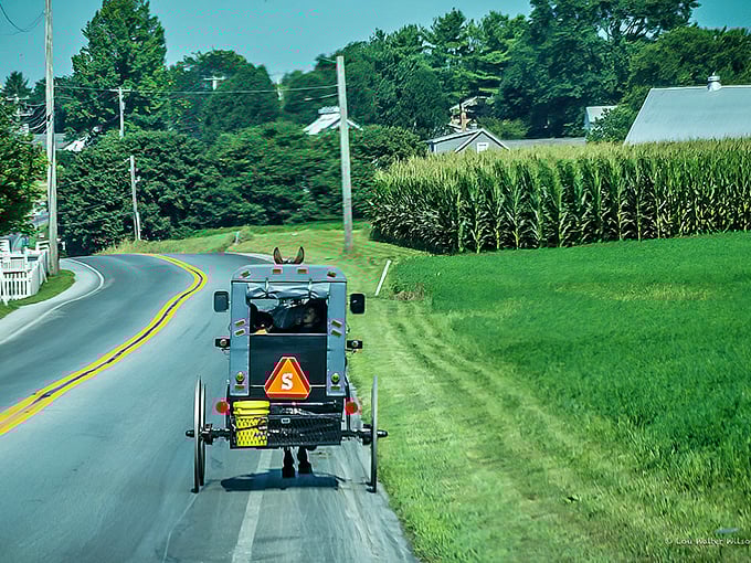 Where time slows down and horse-drawn buggies are still the preferred Uber. A glimpse into the simpler rhythms of Amish country living.