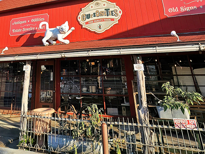 The flying cat above Curiosities' entrance isn't just whimsical decor&mdash;it's your first clue that normal retail rules don't apply inside this red wonderland.