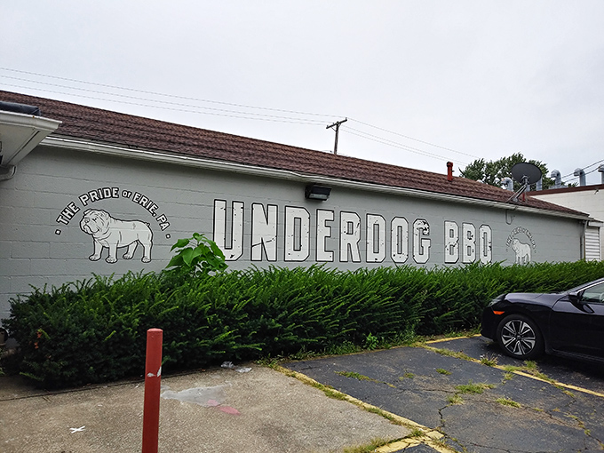The humble gray exterior of Underdog BBQ belies the flavor explosion waiting inside. "The Pride of Erie" indeed&mdash;this unassuming building houses barbecue greatness.