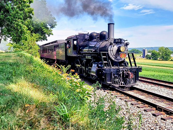 Steam and dreams collide as Engine No. 89 powers through Amish farmland, leaving a trail of nostalgia and coal smoke in its magnificent wake.