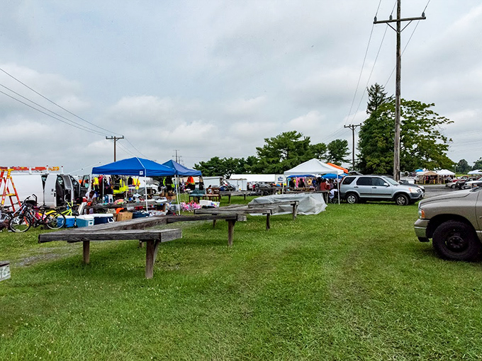 The treasure hunter's paradise unfolds under blue and white tents, where one person's castoffs become another's prized possessions. Weekend warriors navigate the grassy pathways between vendors. 