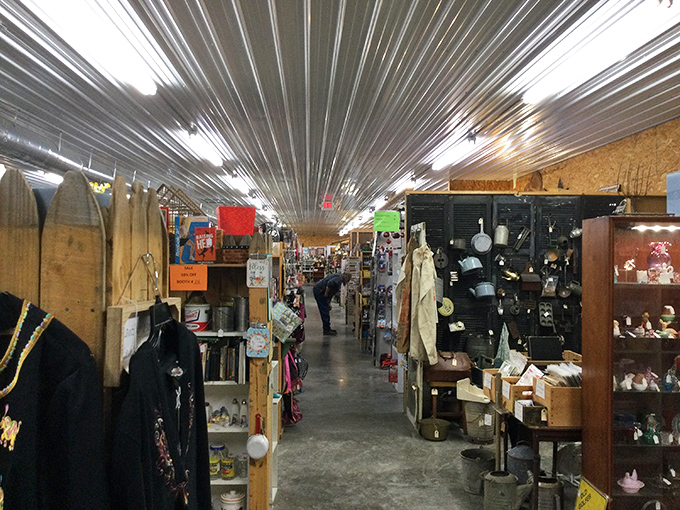 Long aisles of possibility stretch before you, where fluorescent lighting illuminates thousands of stories waiting to be discovered and taken home.