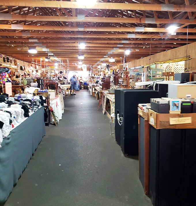 Every aisle tells a different story, with vendors creating miniature museums of curiosities that invite you to look closer.