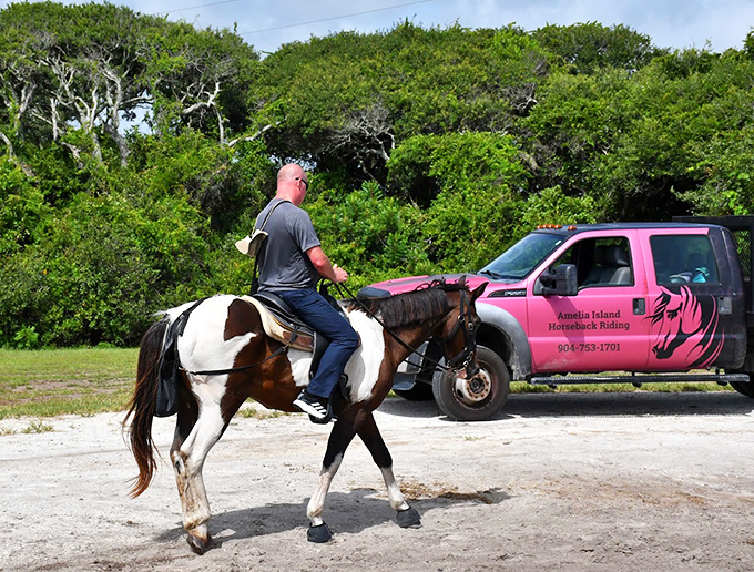 Horseback riding on Amelia Island offers that rare combination of "am I in a movie?" scenery with "why don't I do this more often?" accessibility.