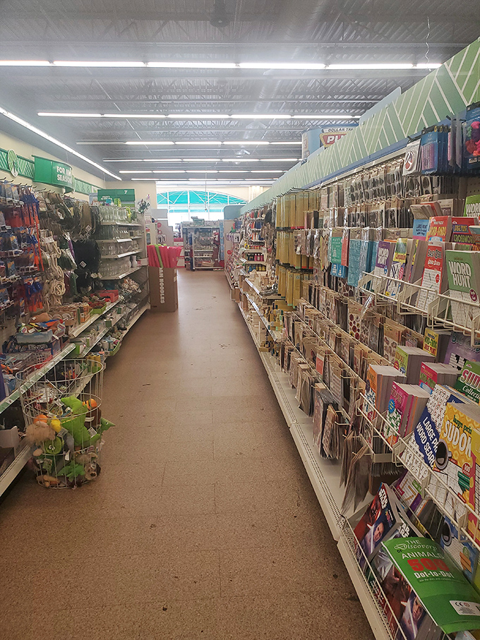 Books, puzzles, and brain teasers line this aisle &ndash; proof that expanding your mind doesn't have to shrink your bank account.