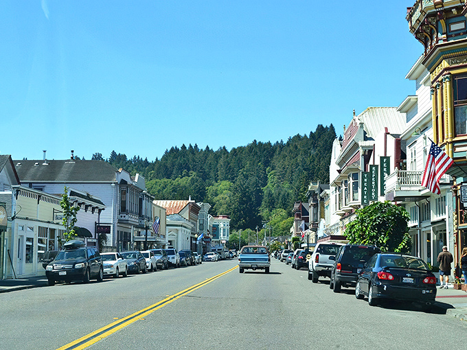 Tree-lined streets frame Victorian homes like a living museum where real families create modern memories daily. 