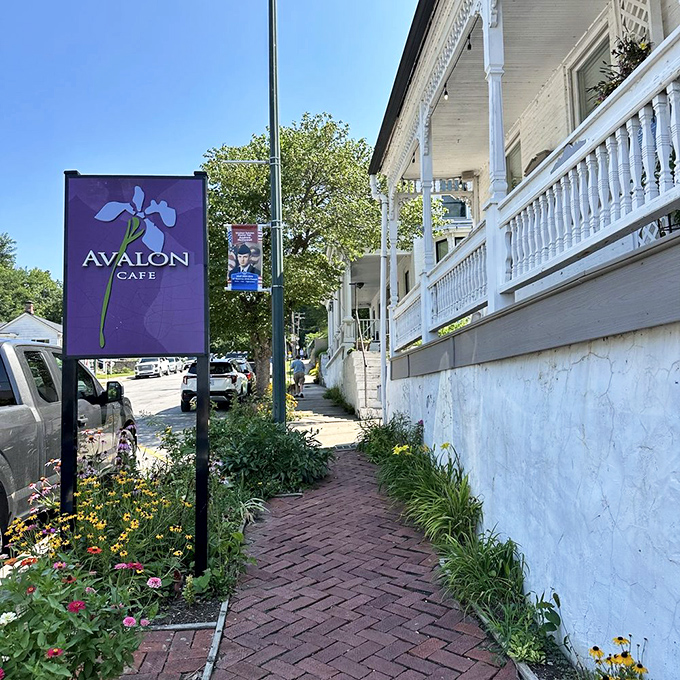 Avalon Cafe's garden path promises the kind of meal that makes you forget to check your phone for three glorious hours.