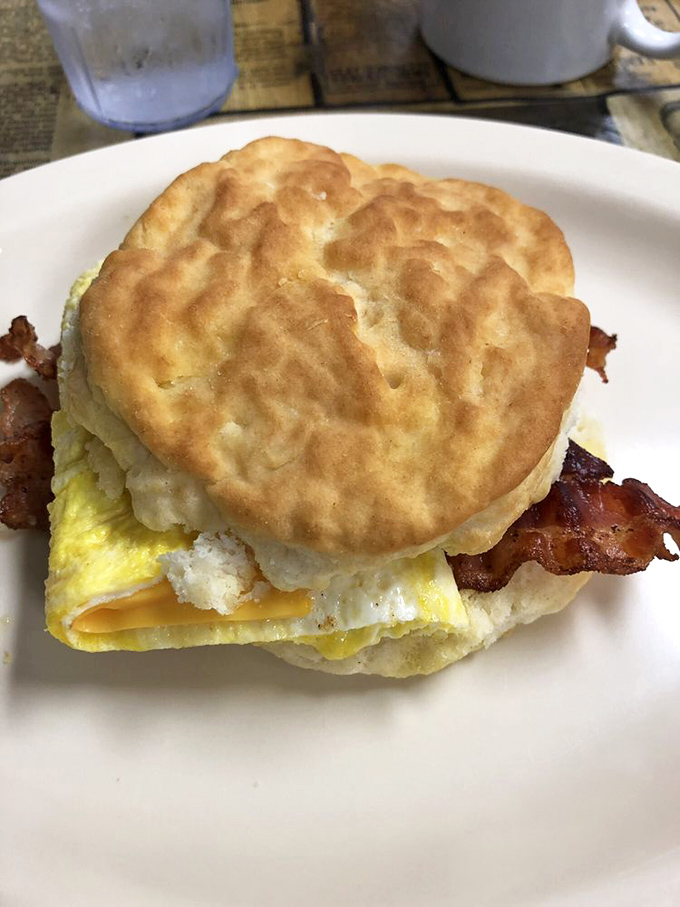 The humble biscuit sandwich&mdash;architecture so perfect it should be studied. Fluffy biscuit, melty cheese, crispy bacon, and that golden egg.