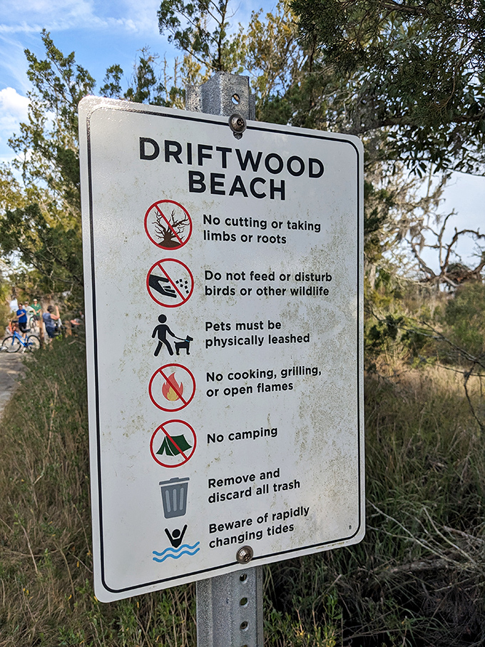 The rules are simple: respect this natural wonder, mind the tides, and leave only footprints in this delicate ecosystem.