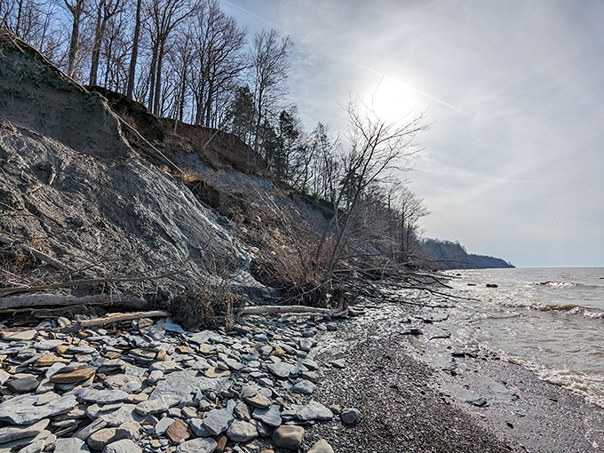 The dramatic bluffs reveal their geological story. These towering clay cliffs have been slowly sculpted by Lake Erie's persistent waves.
