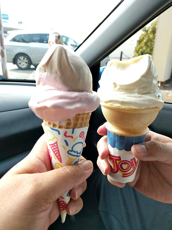 Strawberry and vanilla, the Fred and Ginger of frozen custard. Two classics side by side, proving that sometimes the simplest combinations are the most magical.