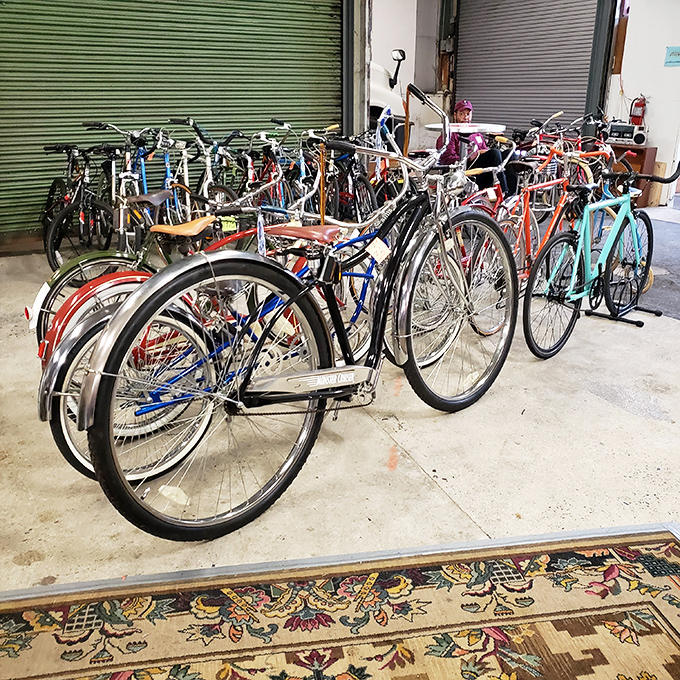 Bicycle heaven for two-wheel dreamers! From vintage cruisers to classic roadsters, these rides are ready for their comeback tour.