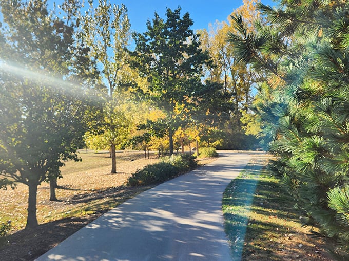 Biking trails stretch into the distance like ribbons of possibility, bordered by trees that provide nature's perfect frame for outdoor adventures.