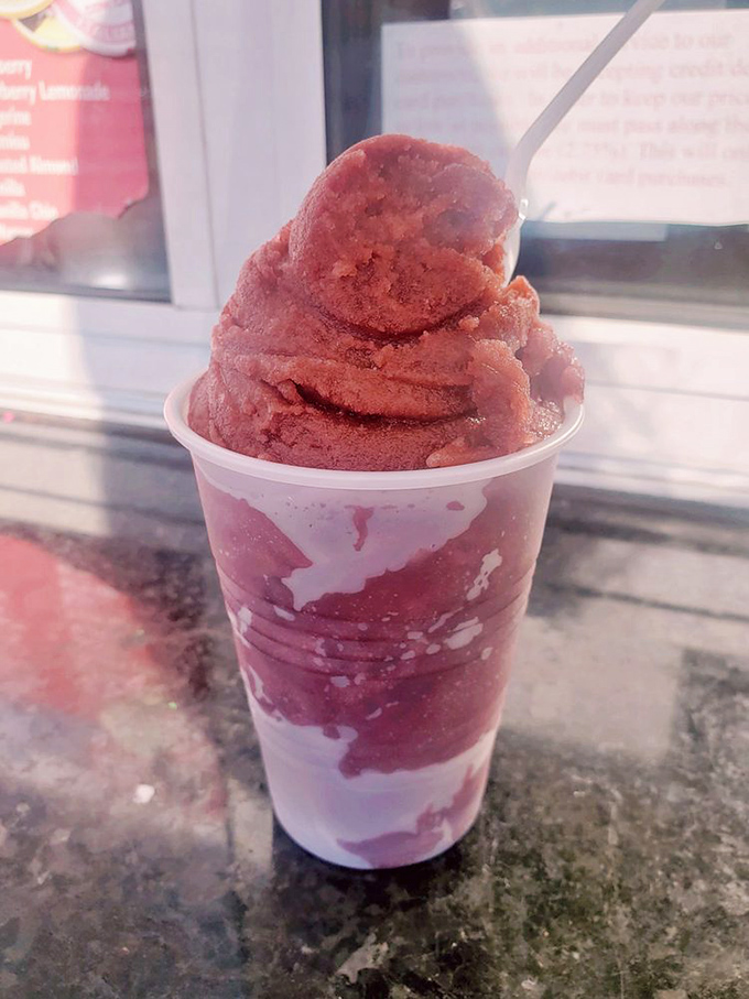 Black cherry Italian ice that captures summer in frozen form. The perfect balance of tart and sweet in every spoonful.