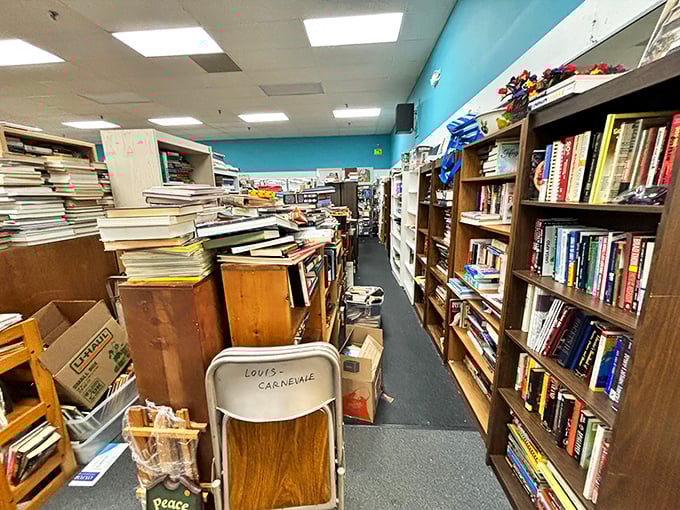 Literary labyrinths that will make bibliophiles weak in the knees. Someone's discarded beach read might become your next obsession.