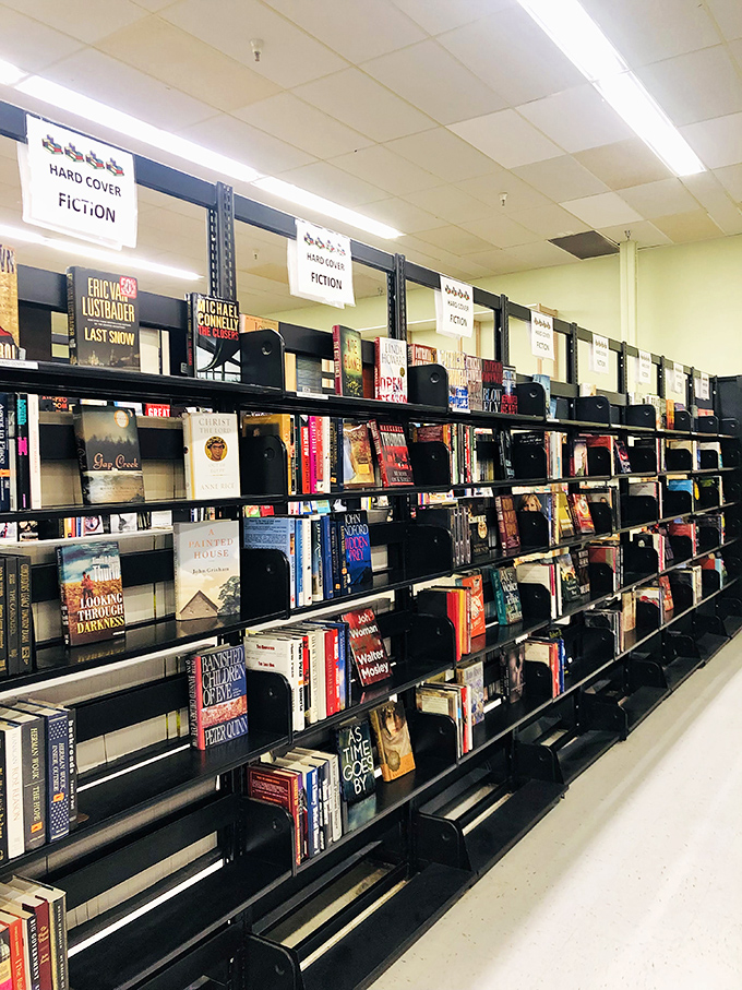 Books organized with librarian-worthy precision, waiting for new minds to explore their pages. Spotting that novel you've been meaning to read feels like cosmic intervention.