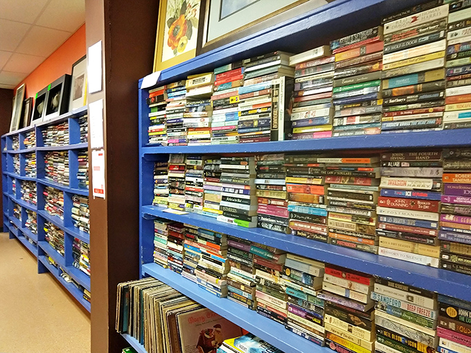 A bibliophile's dream where paperbacks and hardcovers stand shoulder to shoulder, like old friends at a reunion waiting to share their stories.