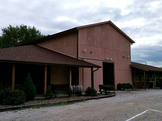 Brant's Apple Orchard welcomes visitors with rustic charm and the promise of cider donuts that make diets spontaneously combust upon arrival.