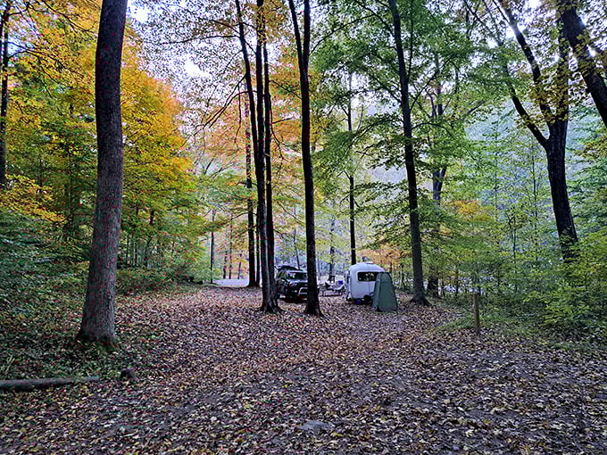 Autumn camping at its finest&mdash;where fallen leaves create nature's carpet and every campsite comes with a technicolor canopy overhead.