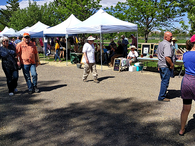 Local markets in Torrey bring community together under dappled shade. These gatherings aren't just about produce&mdash;they're the social heartbeat of small-town life.