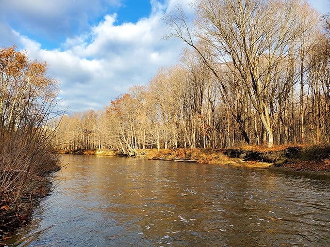 Cederquist Park's gentle waters reflect autumn's golden palette, proving nature doesn't need mountains to create a masterpiece.
