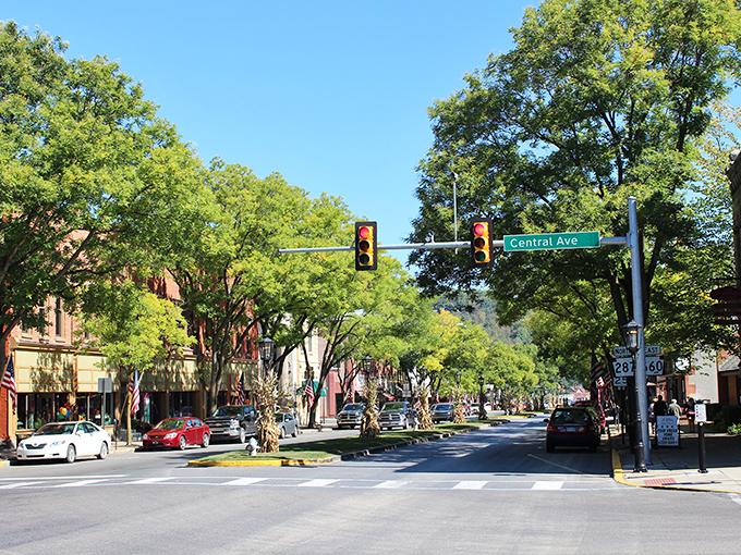 Central Avenue's canopy of trees creates a natural cathedral effect, making everyday errands feel like scenes from a feel-good movie.