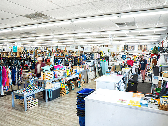 A bird's-eye view of organized chaos. Fashion Cents transforms the overwhelming nature of secondhand shopping into a department store experience.